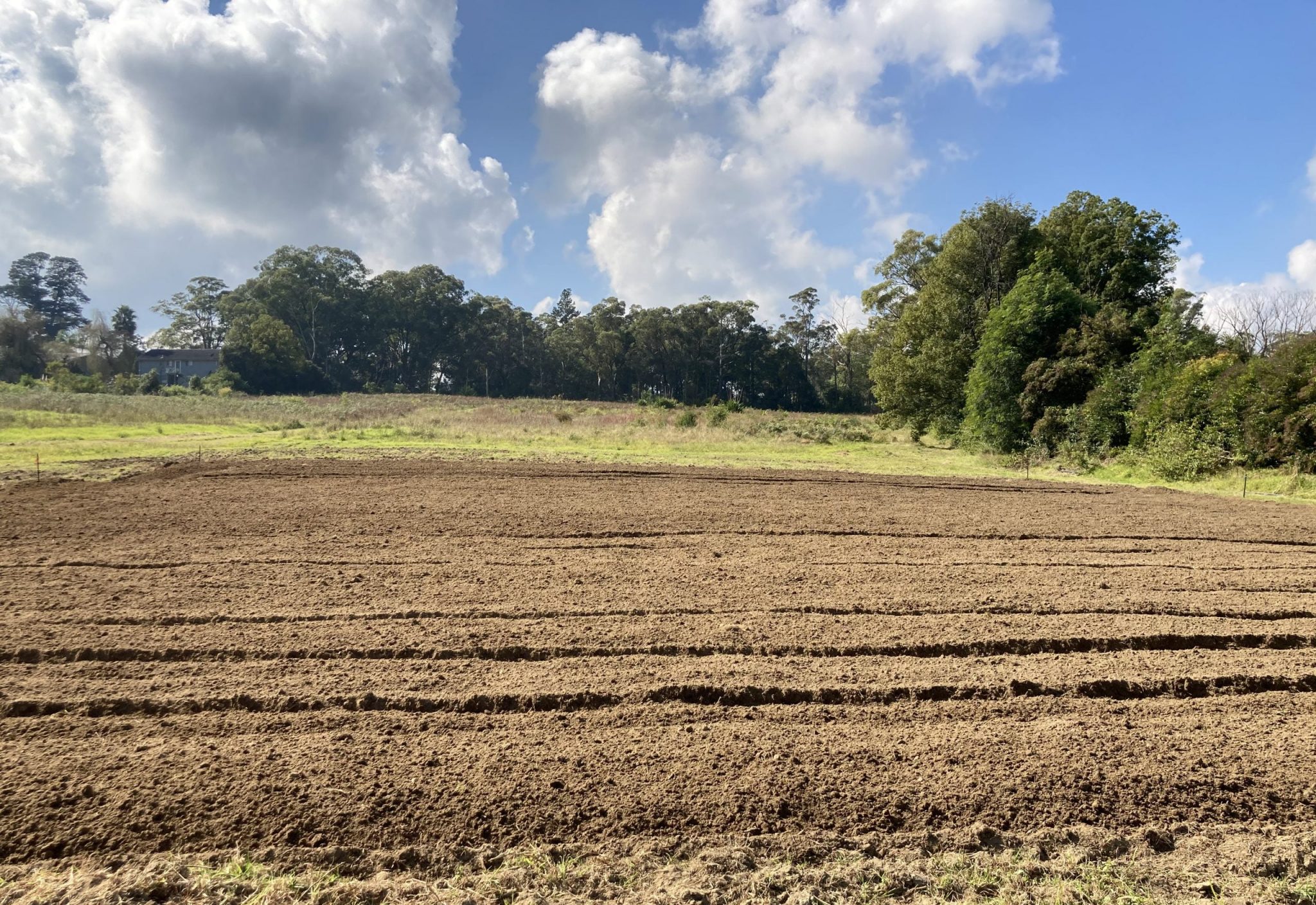 The Bloom Barn Farm – Quality Fresh Flowers. We grow your gifts.