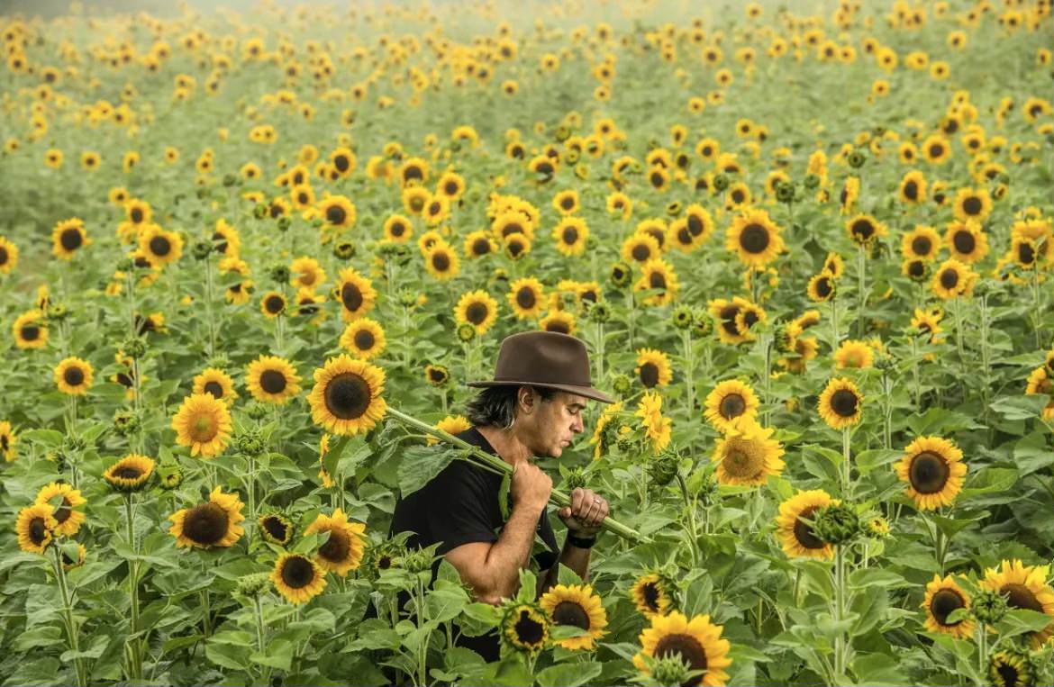 The Bloom Barn Farm – Quality Fresh Flowers. We grow your gifts.